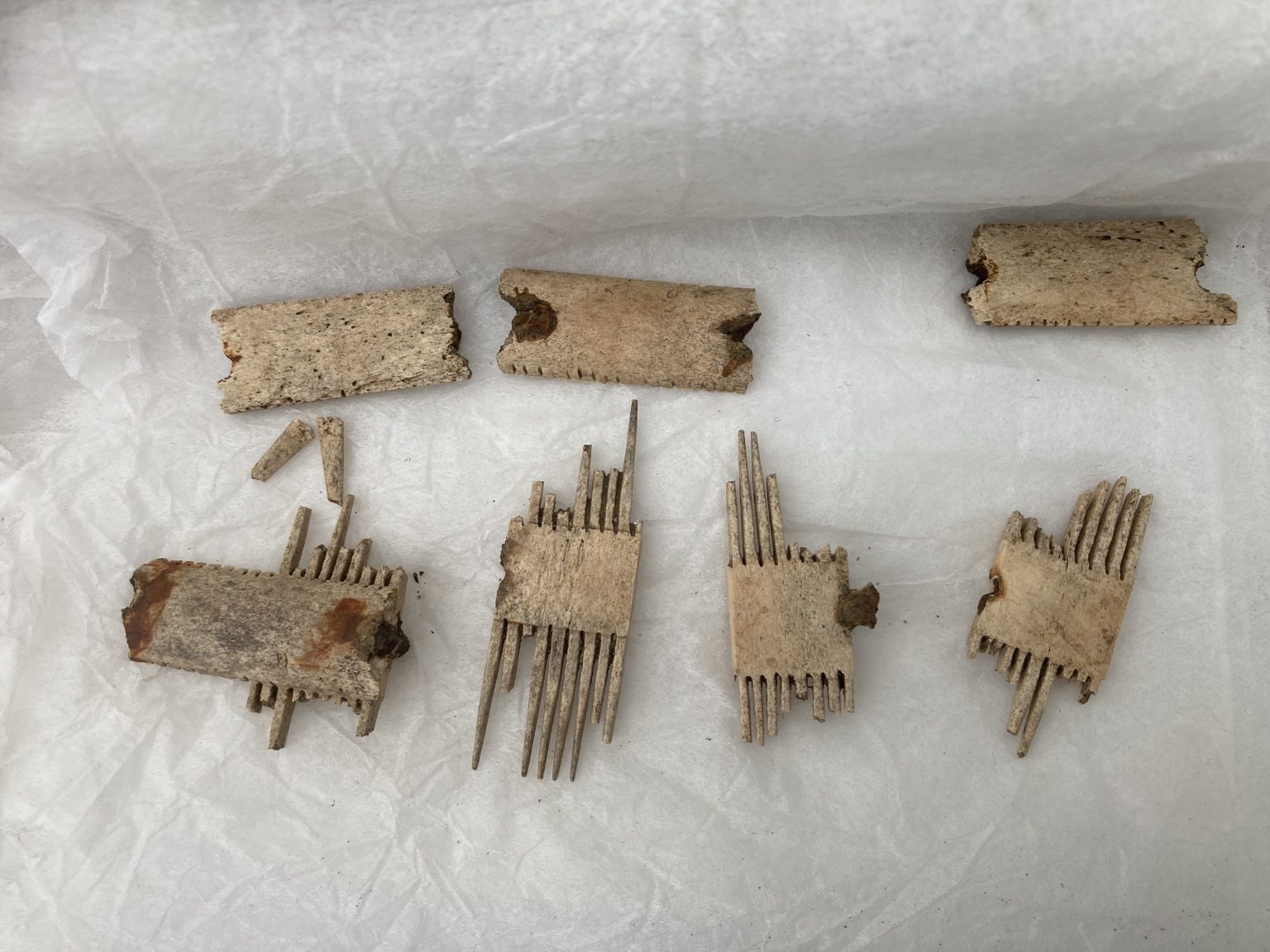 Bone Combs | Friends of Cookham Abbey
